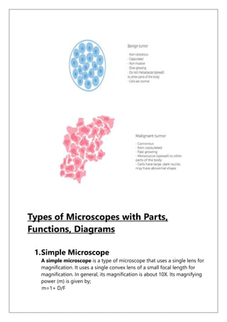 CELL MICROBIOLOGY AND MICROSCOPE TYPES | DOCX | Biological Sciences ...