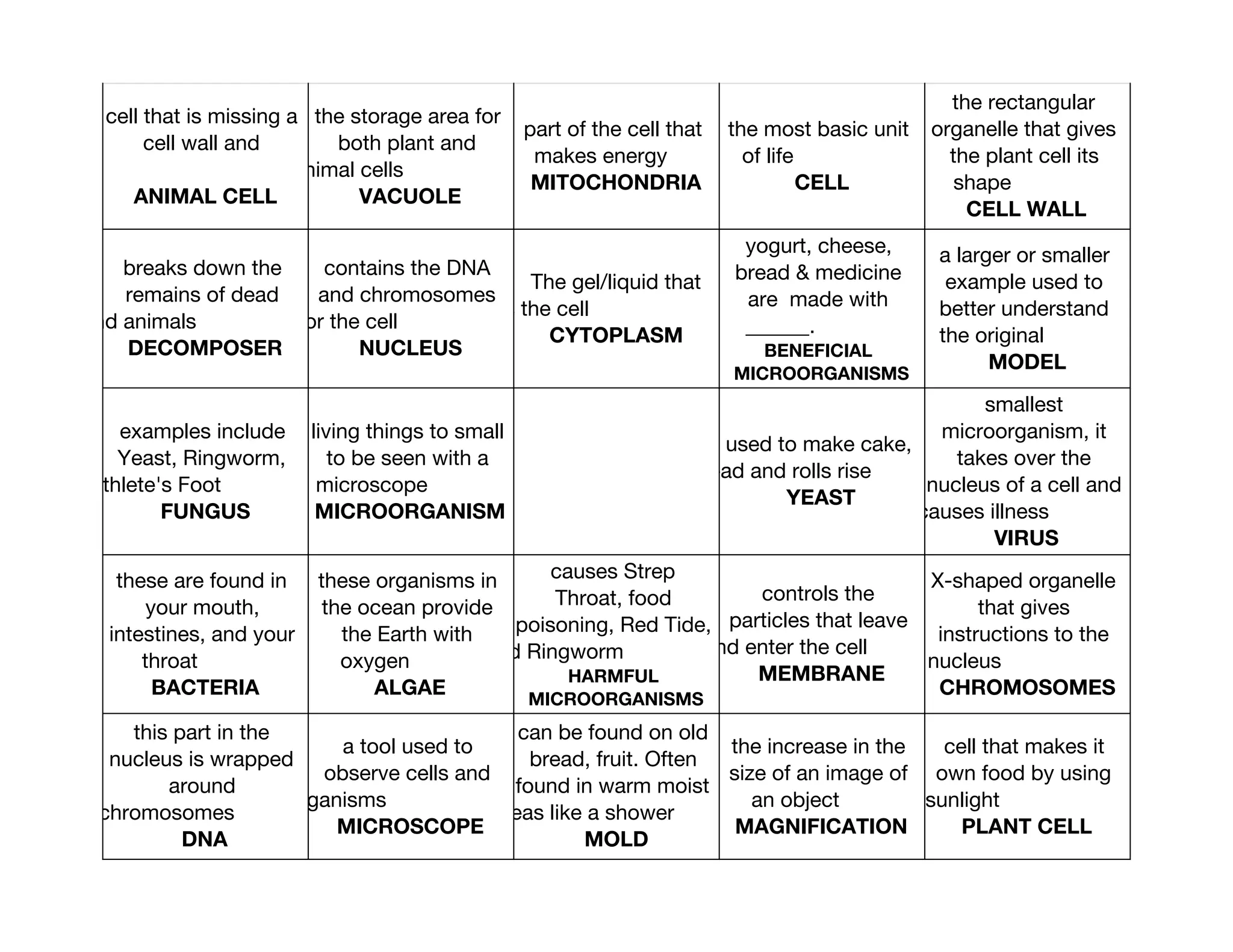 CellMicroorganismsBingo-1.pdf