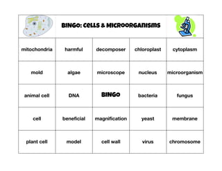 CellMicroorganismsBingo-1.pdf