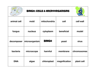 CellMicroorganismsBingo-1.pdf