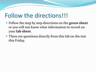 Cell microscope lab | PPTX