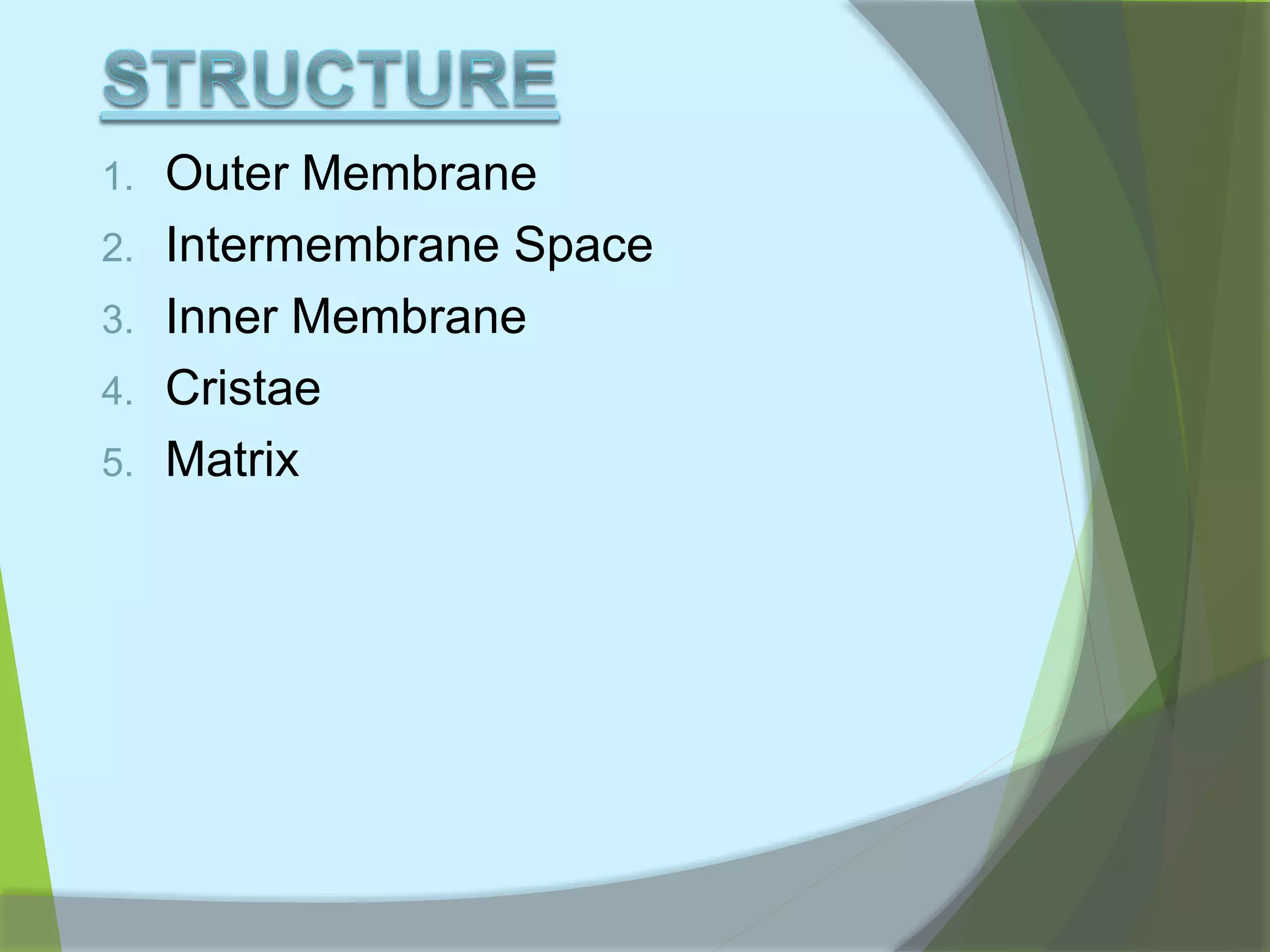 Cell mitochondria | PPTX