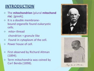 Cell mitochondria | PPTX