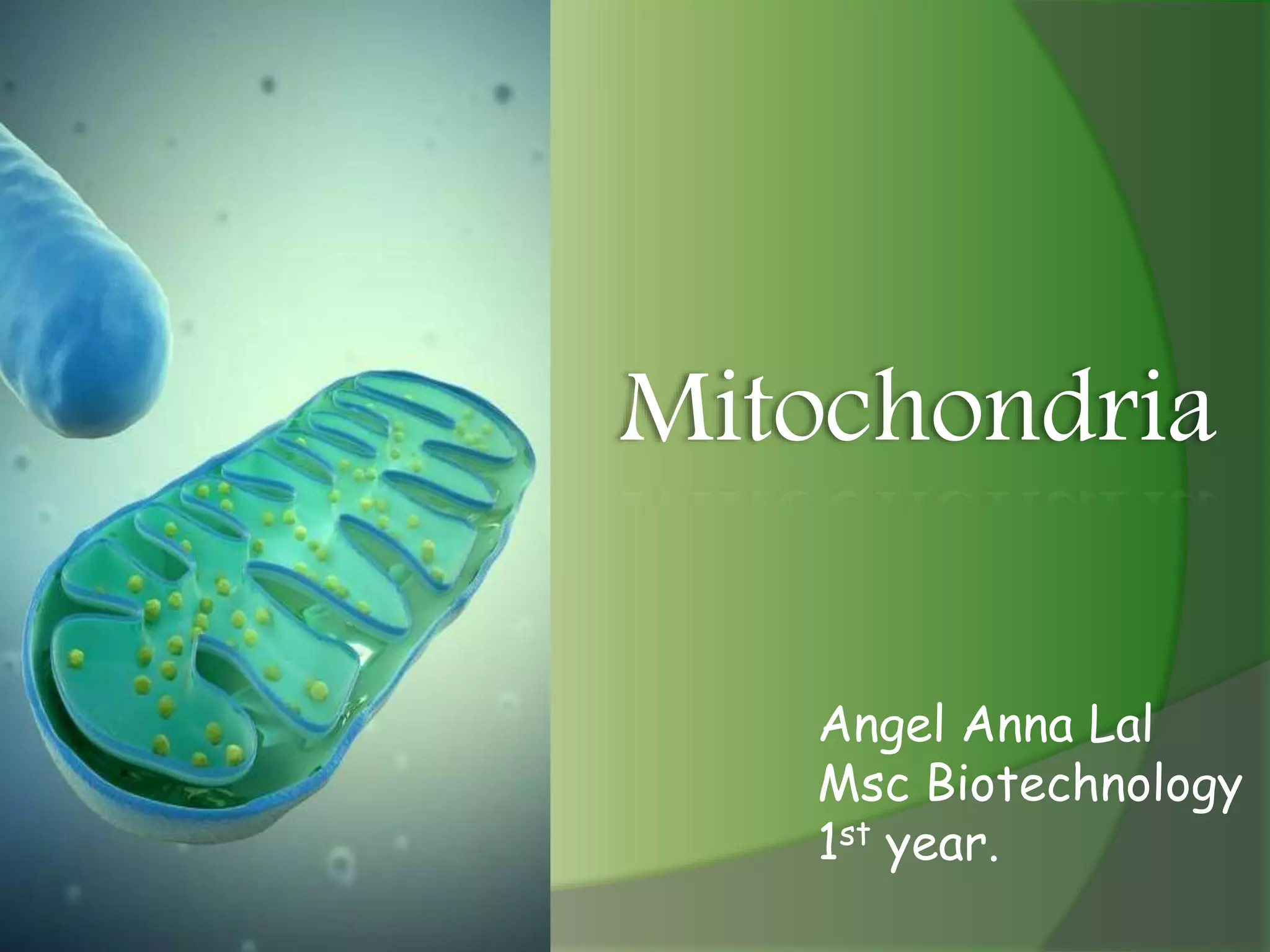 Cell mitochondria ppt | PPTX