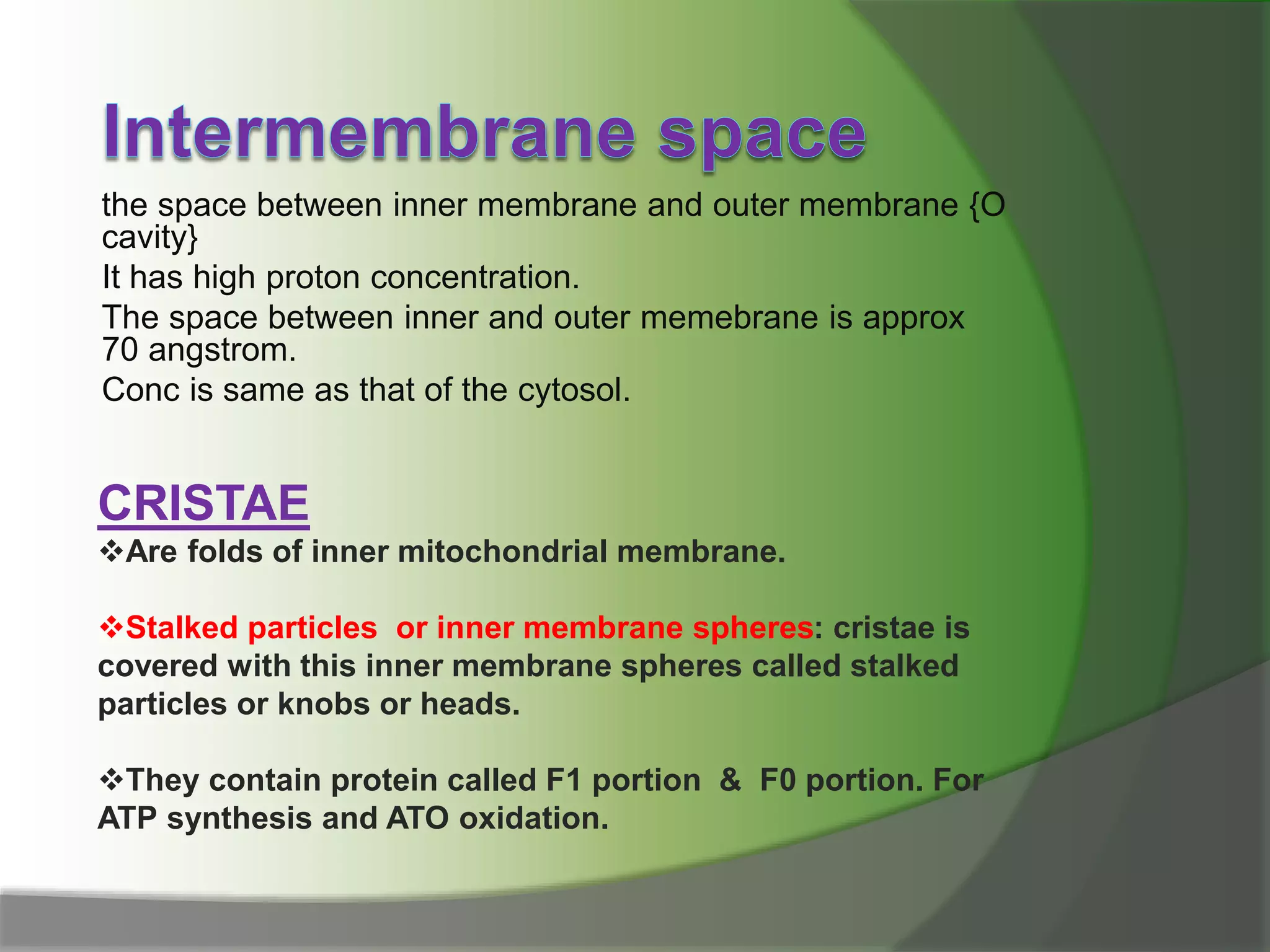 Cell mitochondria ppt | PPTX