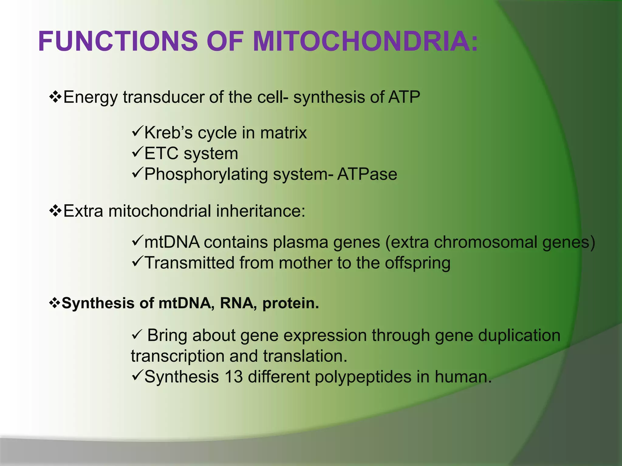 Cell mitochondria ppt | PPTX