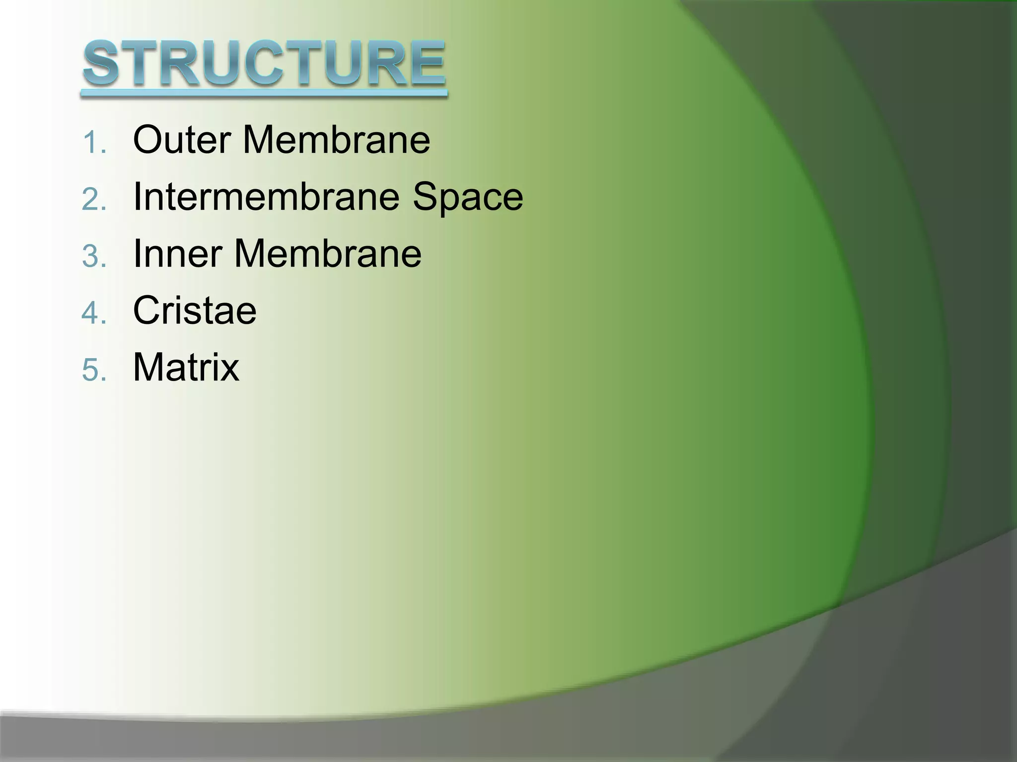 Cell mitochondria ppt | PPTX
