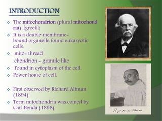 Cell mitochondria ppt | PPTX