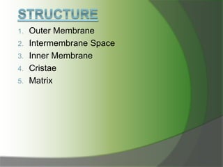 Cell mitochondria ppt | PPTX | Biological Sciences | Science