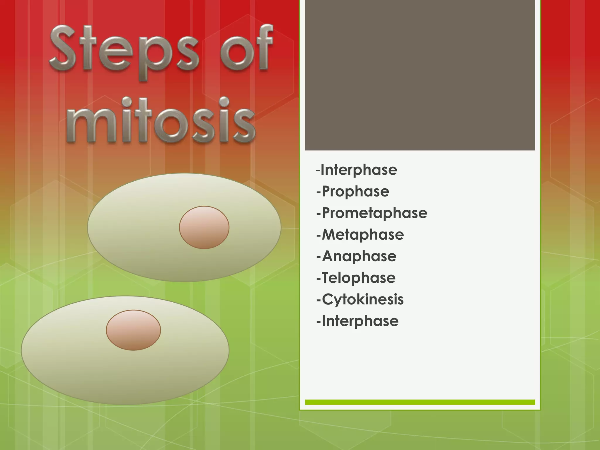 Cell mitosis | PPT
