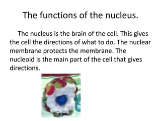 Cell moddle | PPT