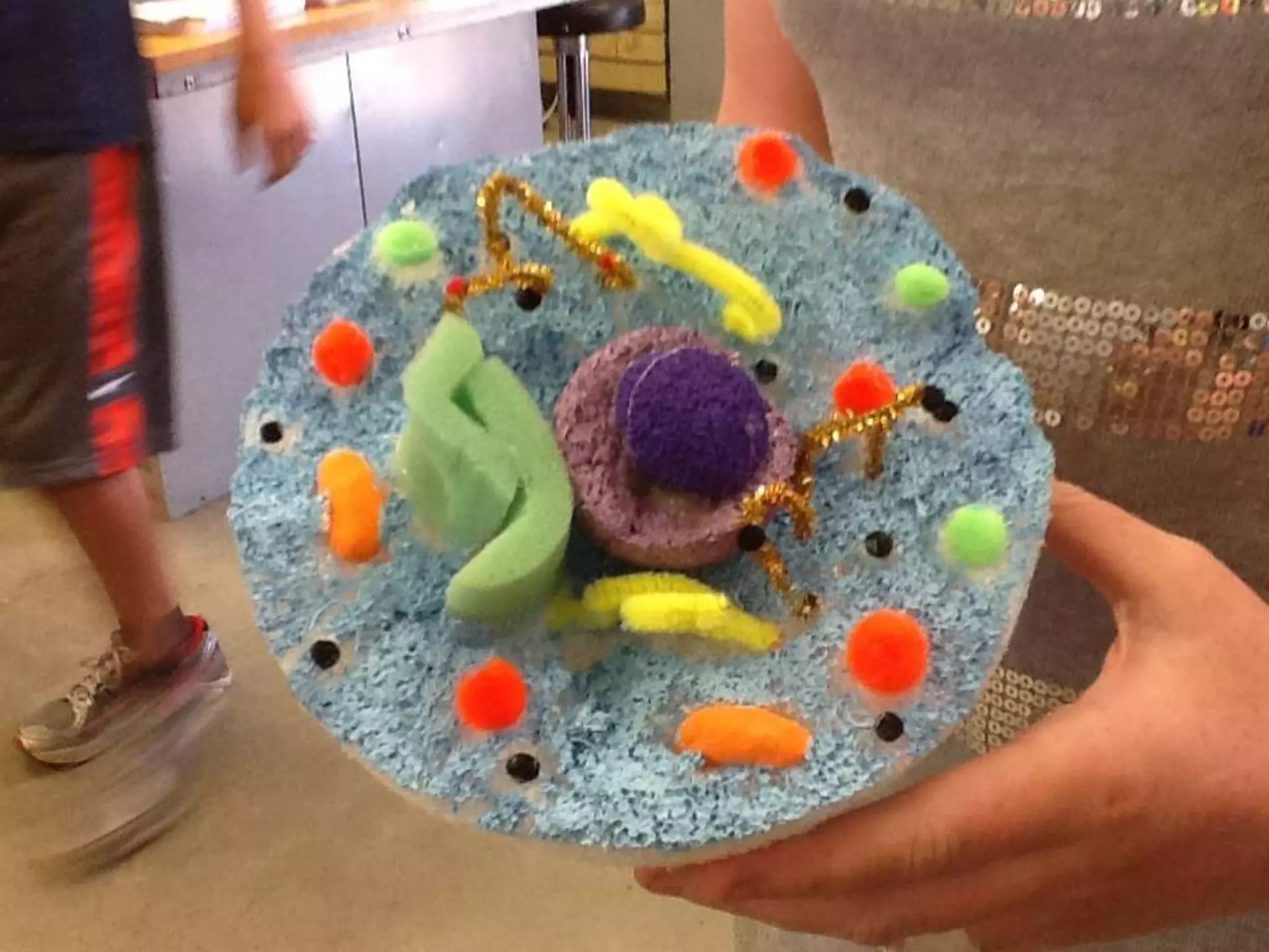 Cell models | PPTX