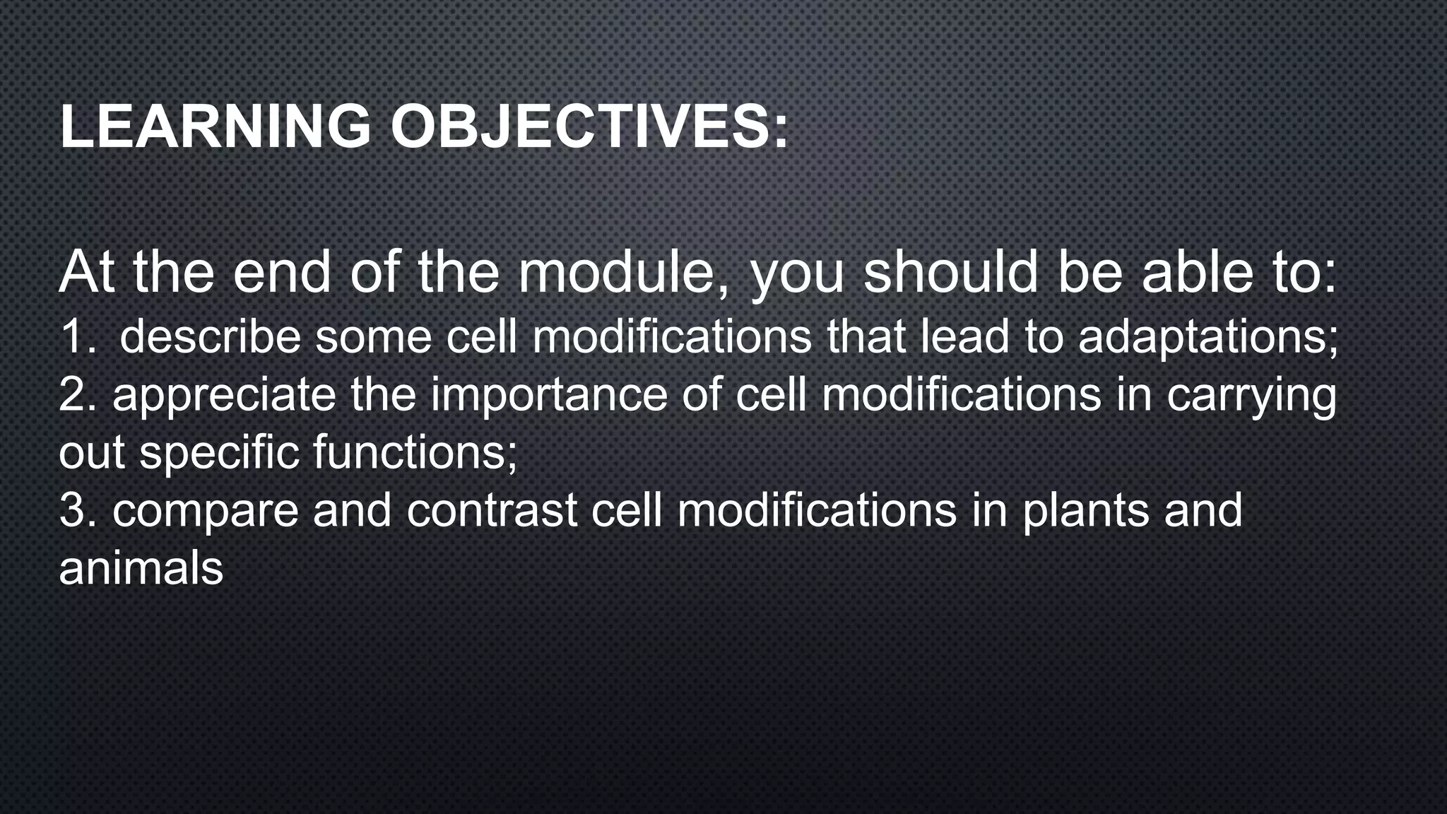 Cell_Modifications.pptx