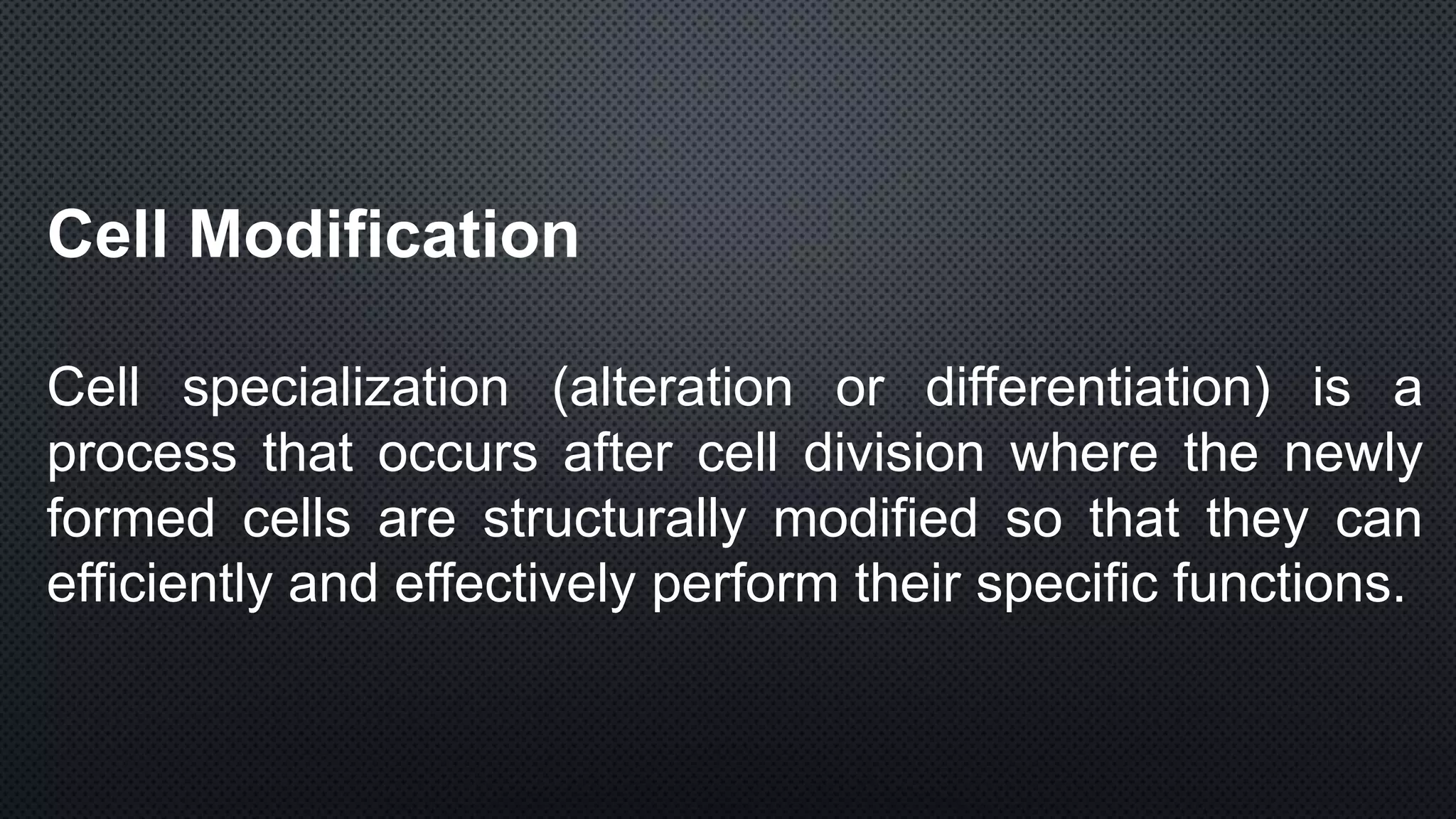 Cell_Modifications.pptx
