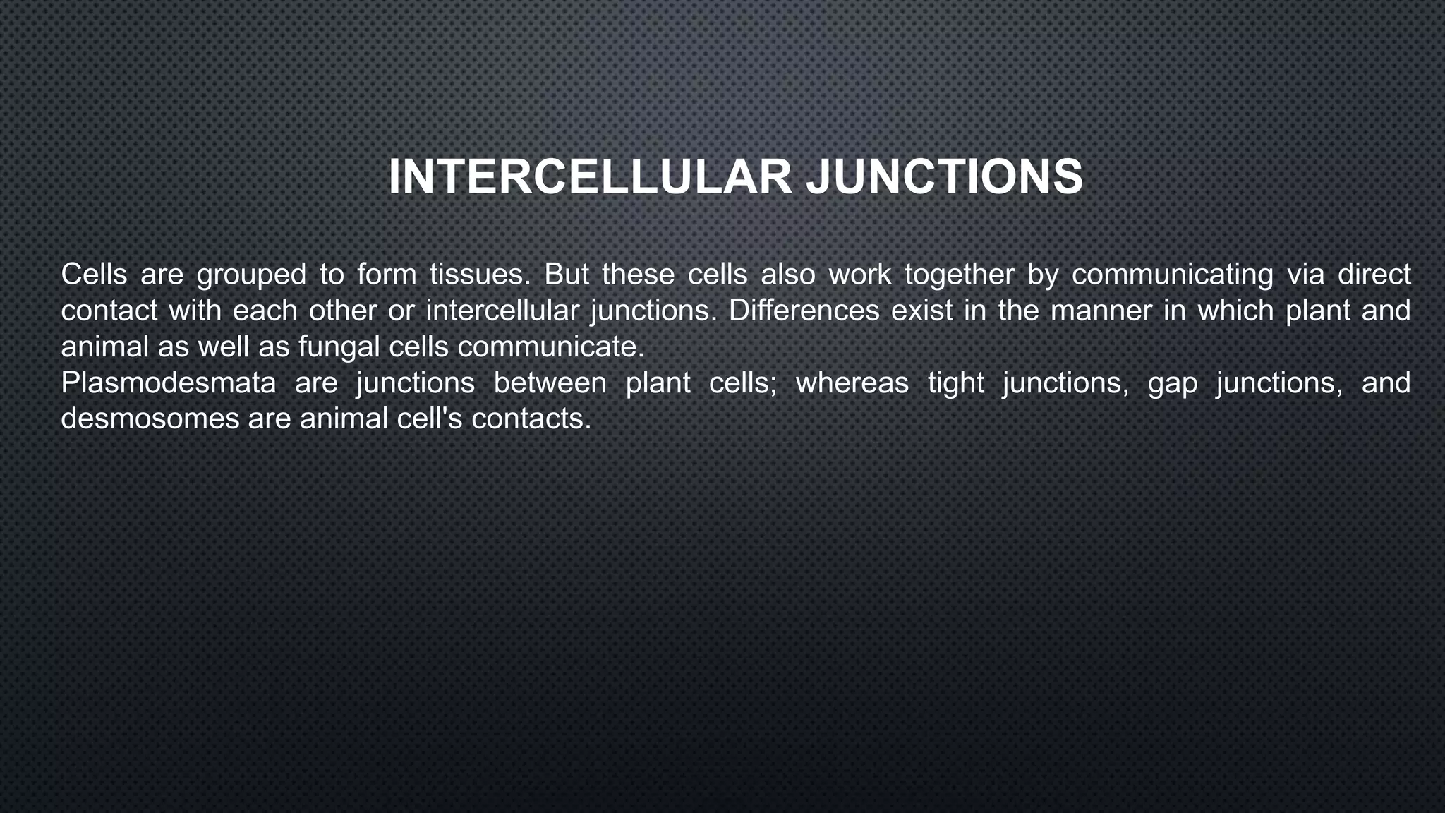 Cell_Modifications.pptx