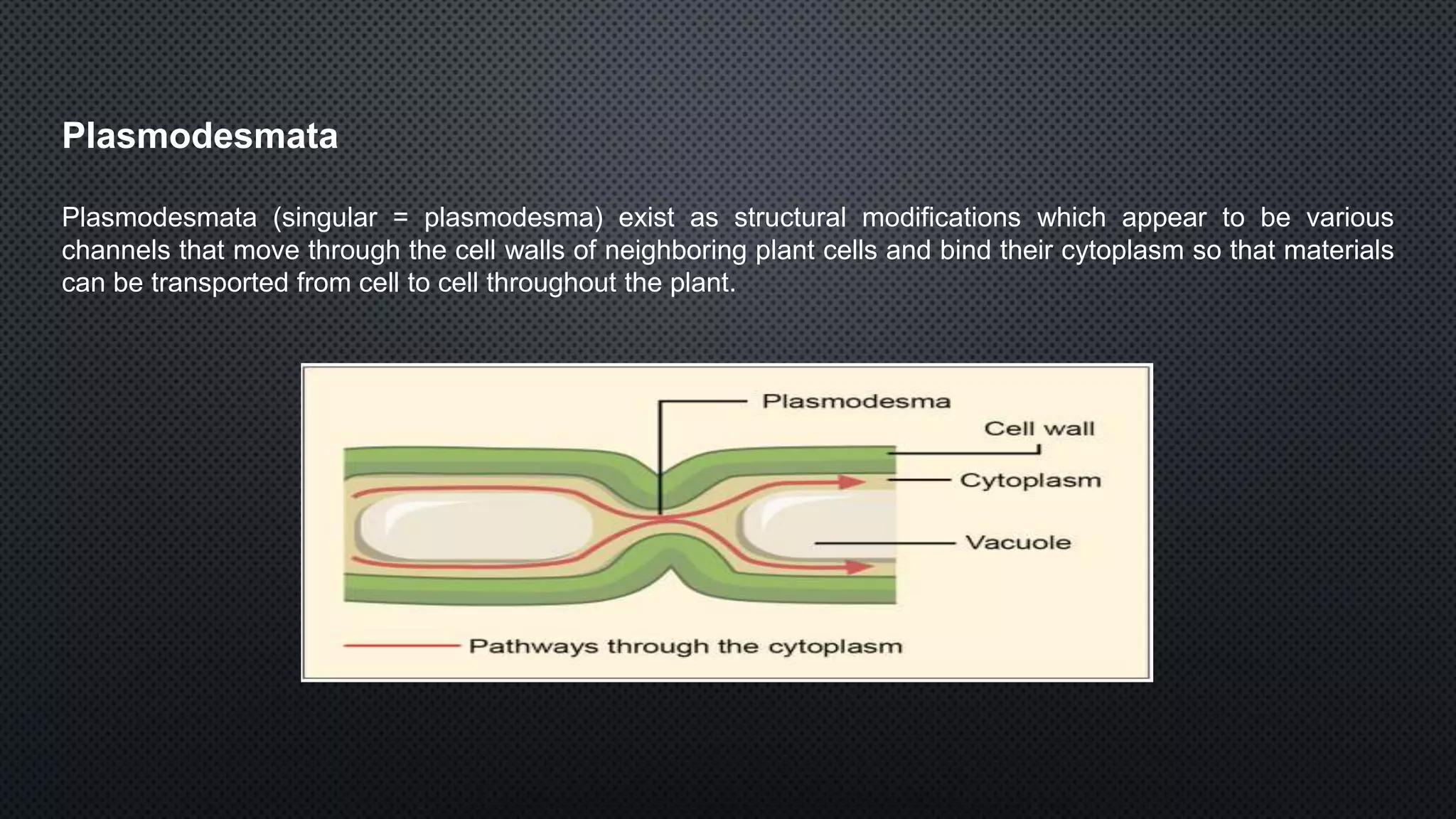 Cell_Modifications.pptx