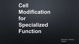 Cell_Modifications.pptx
