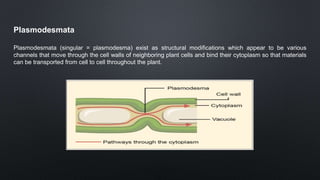 Cell_Modifications.pptx