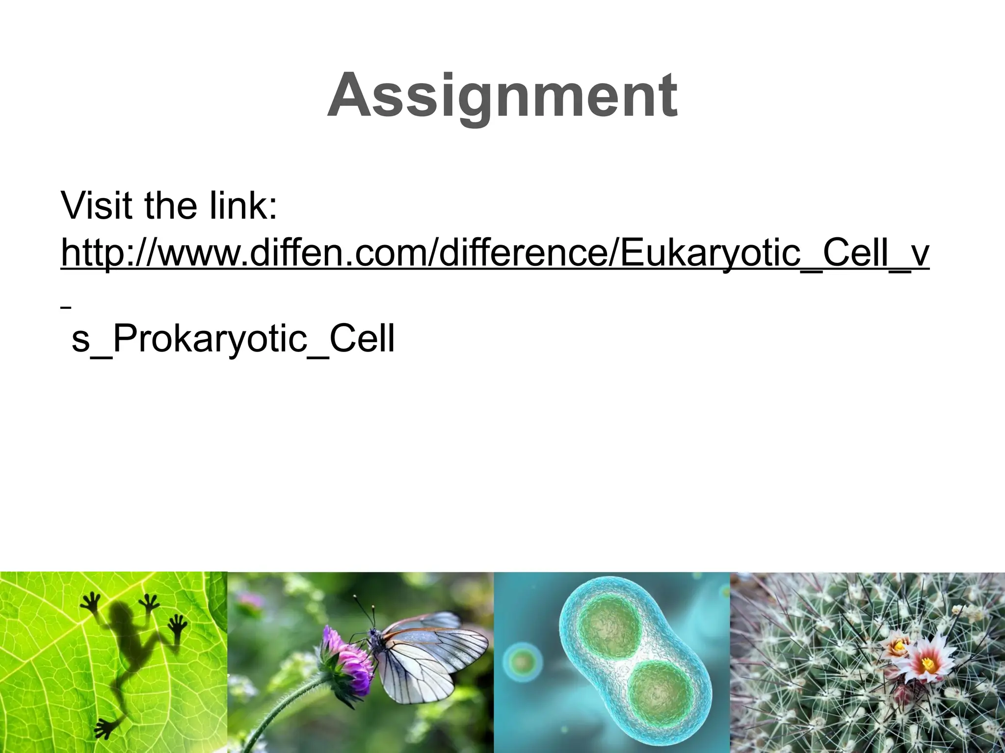 cellmodifications.pptxxxxxxxxxxxxxxxxxxx | PPTX