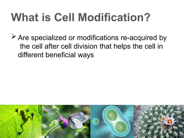 cellmodifications.pptxxxxxxxxxxxxxxxxxxx | PPT | Free Download