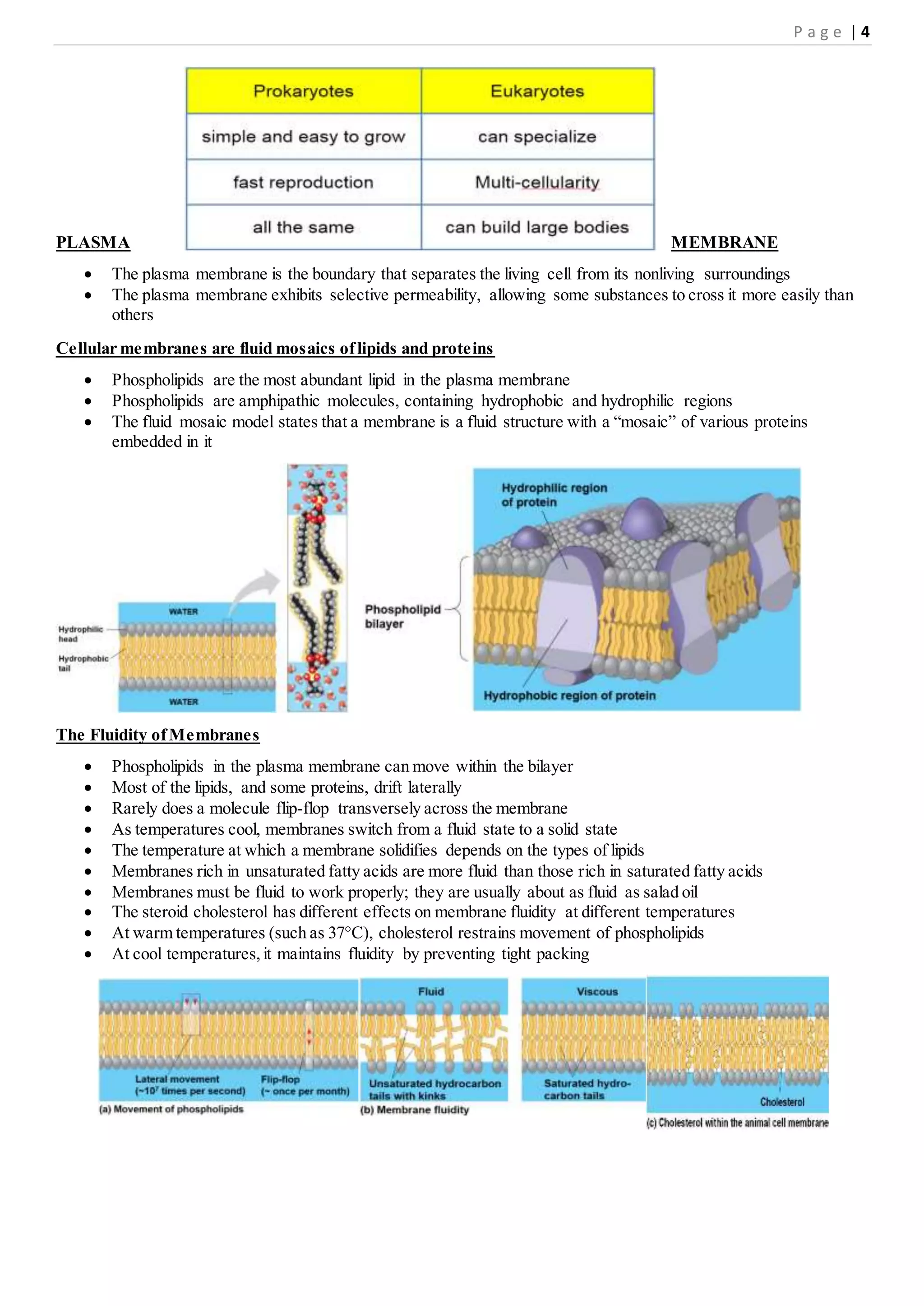 Cell & molecular biology | DOCX