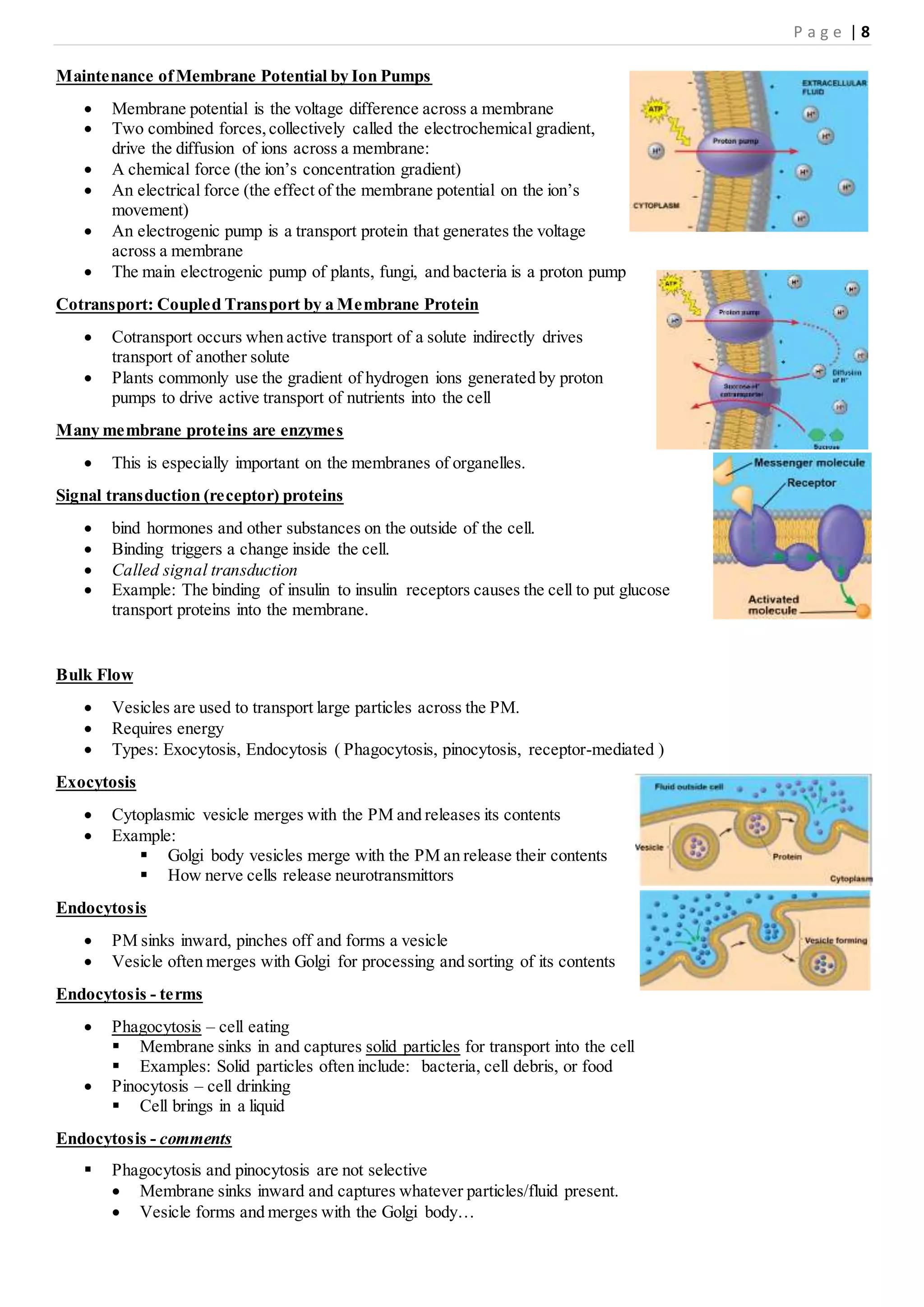 Cell & molecular biology | DOCX