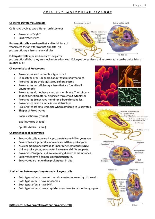 Cell & molecular biology | DOCX