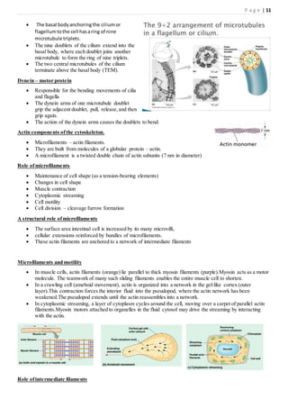 Cell & molecular biology | DOCX