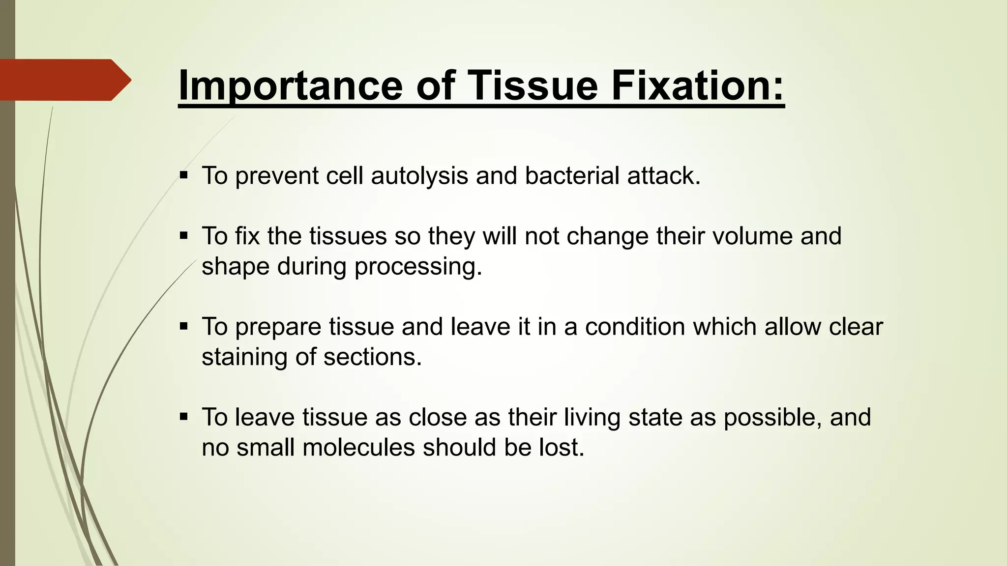 Cell morphology n tissue processing ppt | PPTX