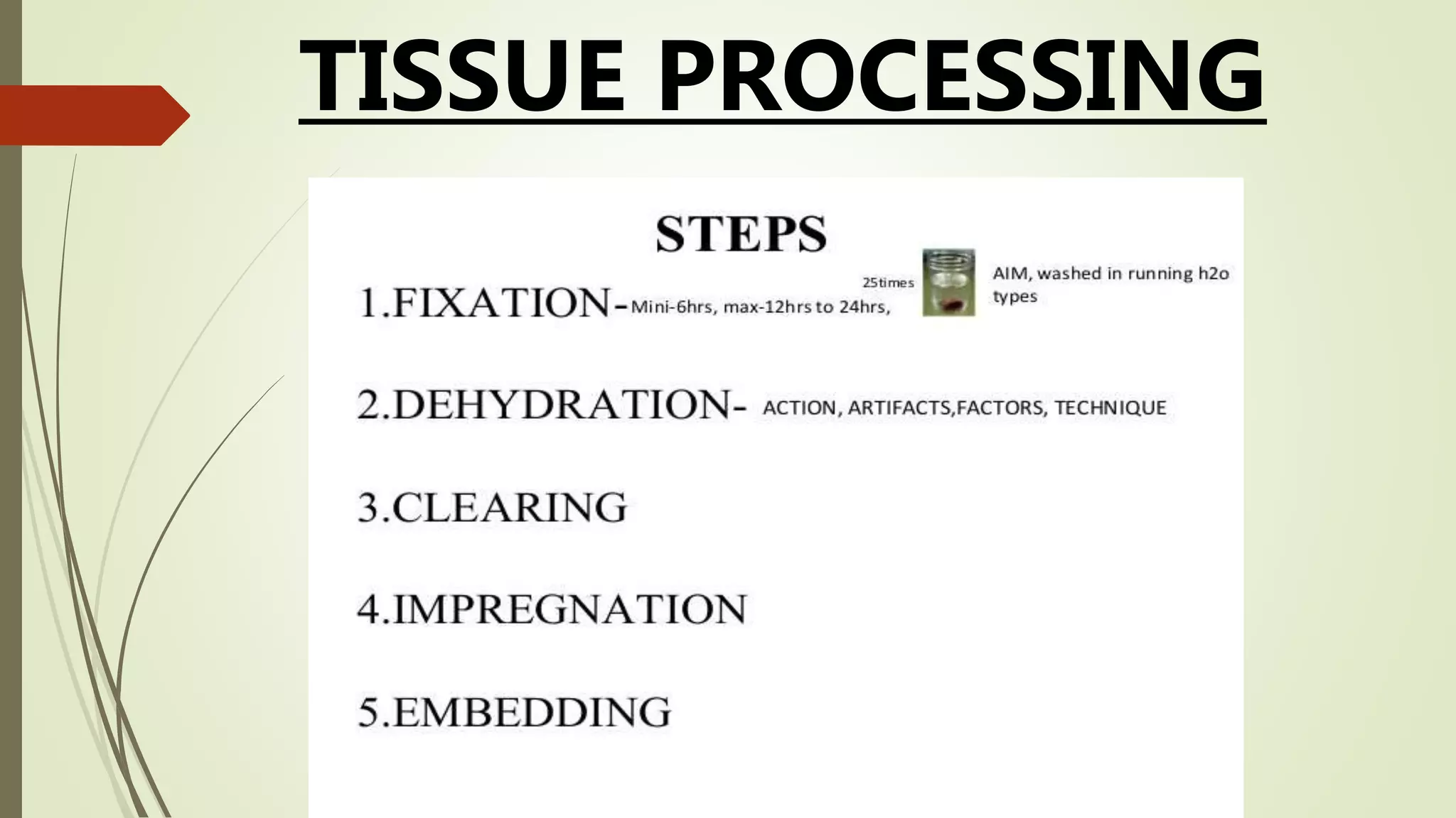 Cell morphology n tissue processing ppt | PPTX | Chemistry | Science
