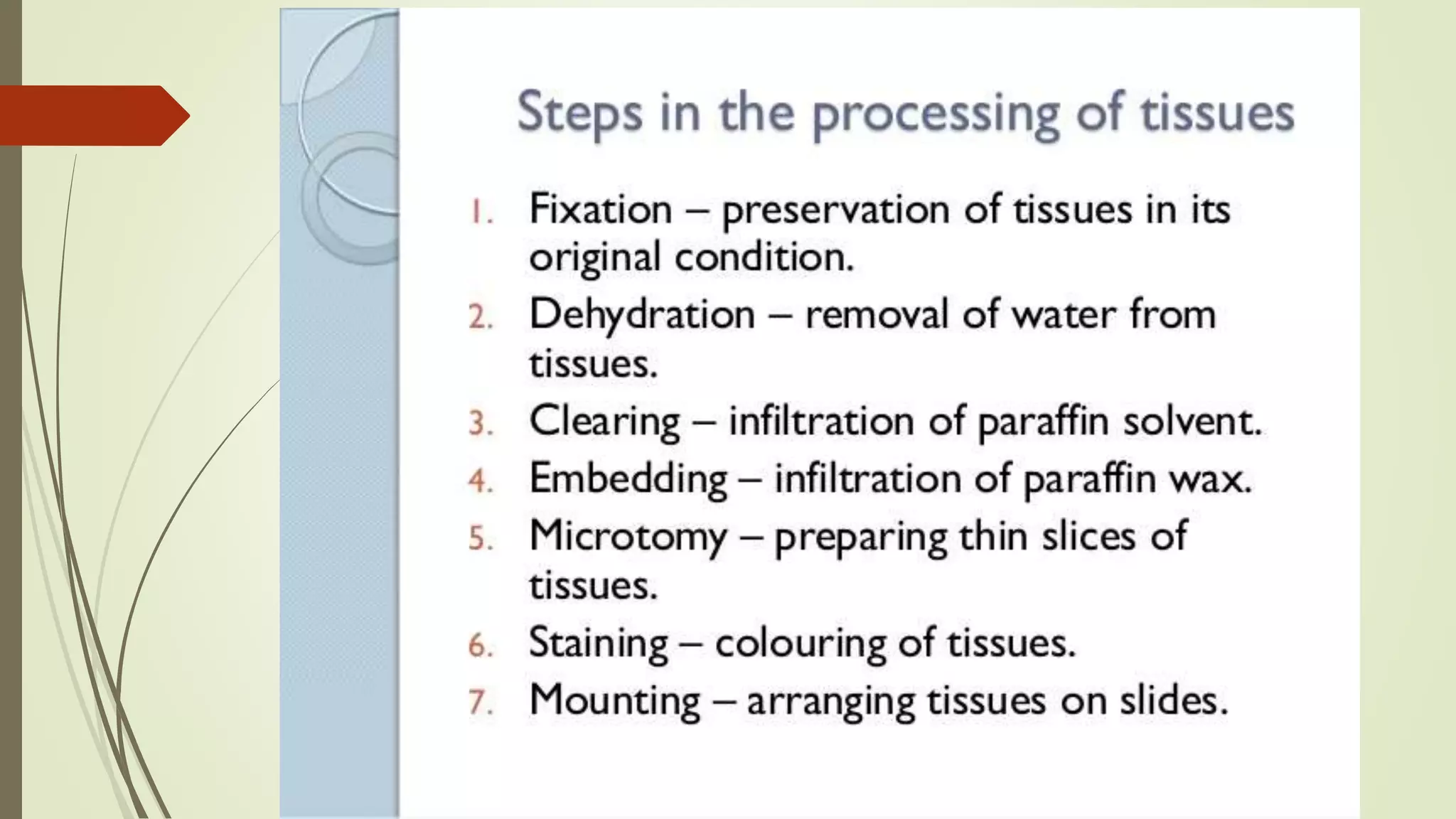 Cell morphology n tissue processing ppt | PPTX | Chemistry | Science