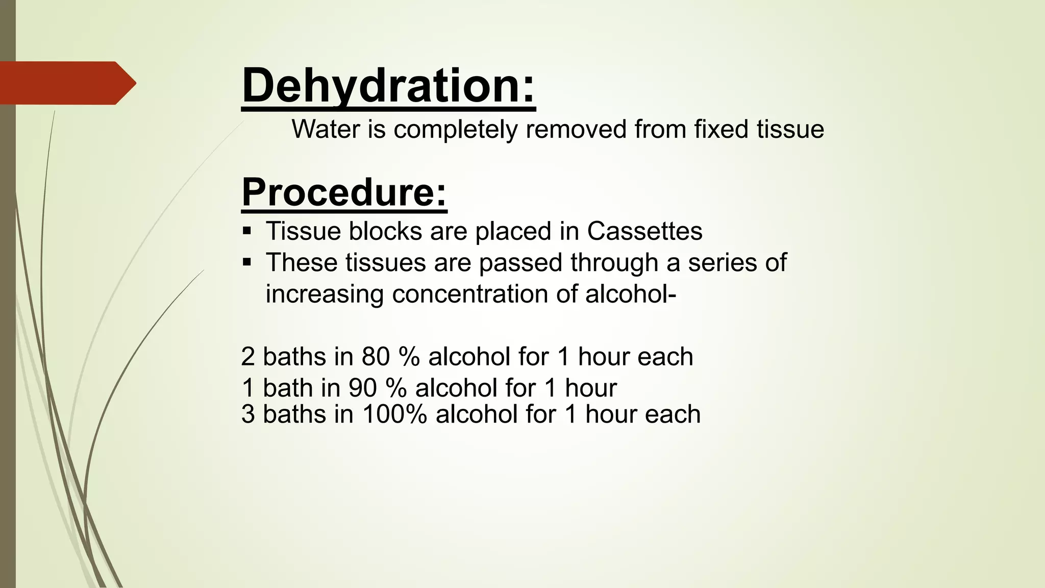 Cell morphology n tissue processing ppt | PPTX