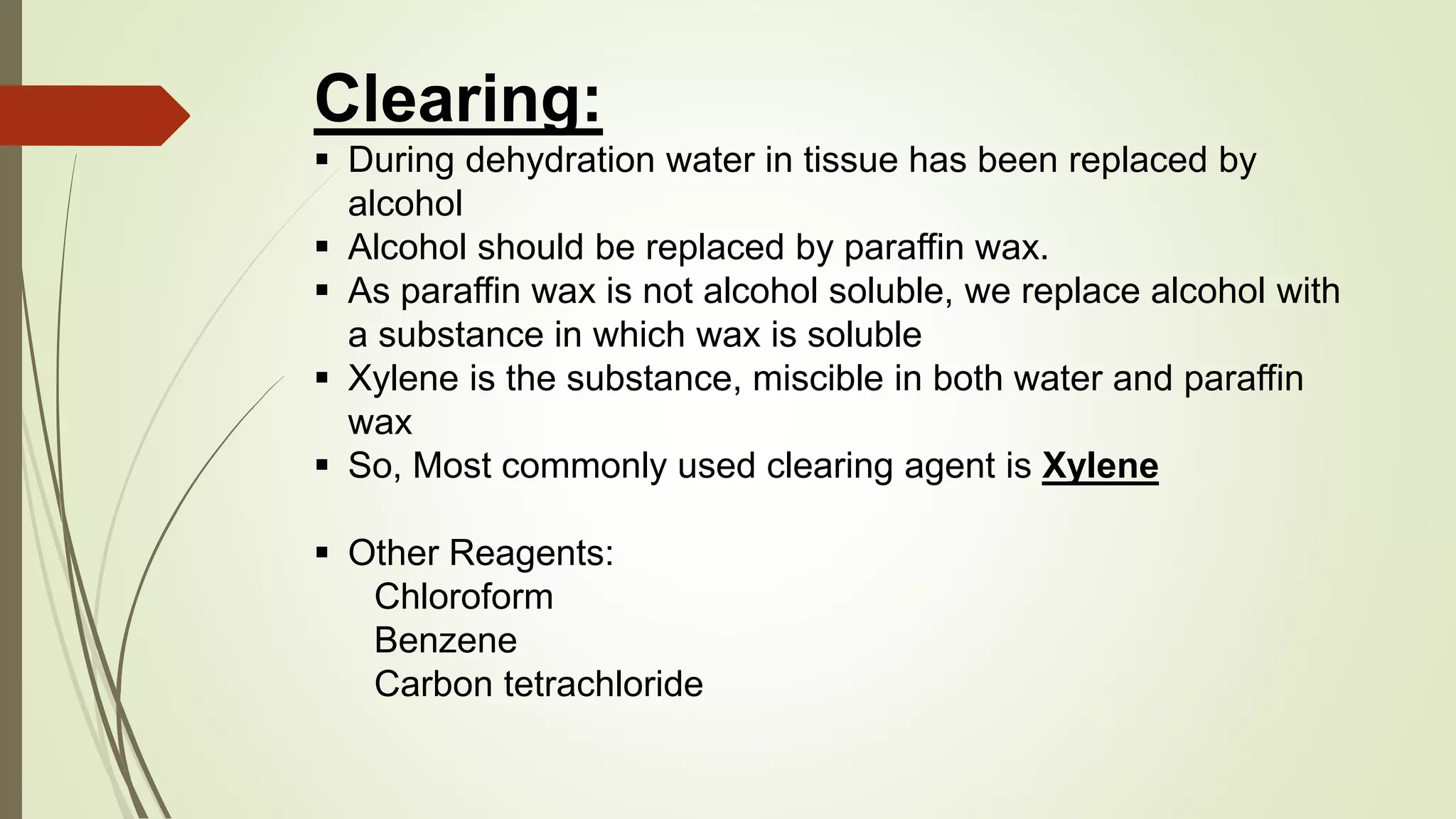 Cell morphology n tissue processing ppt | PPTX