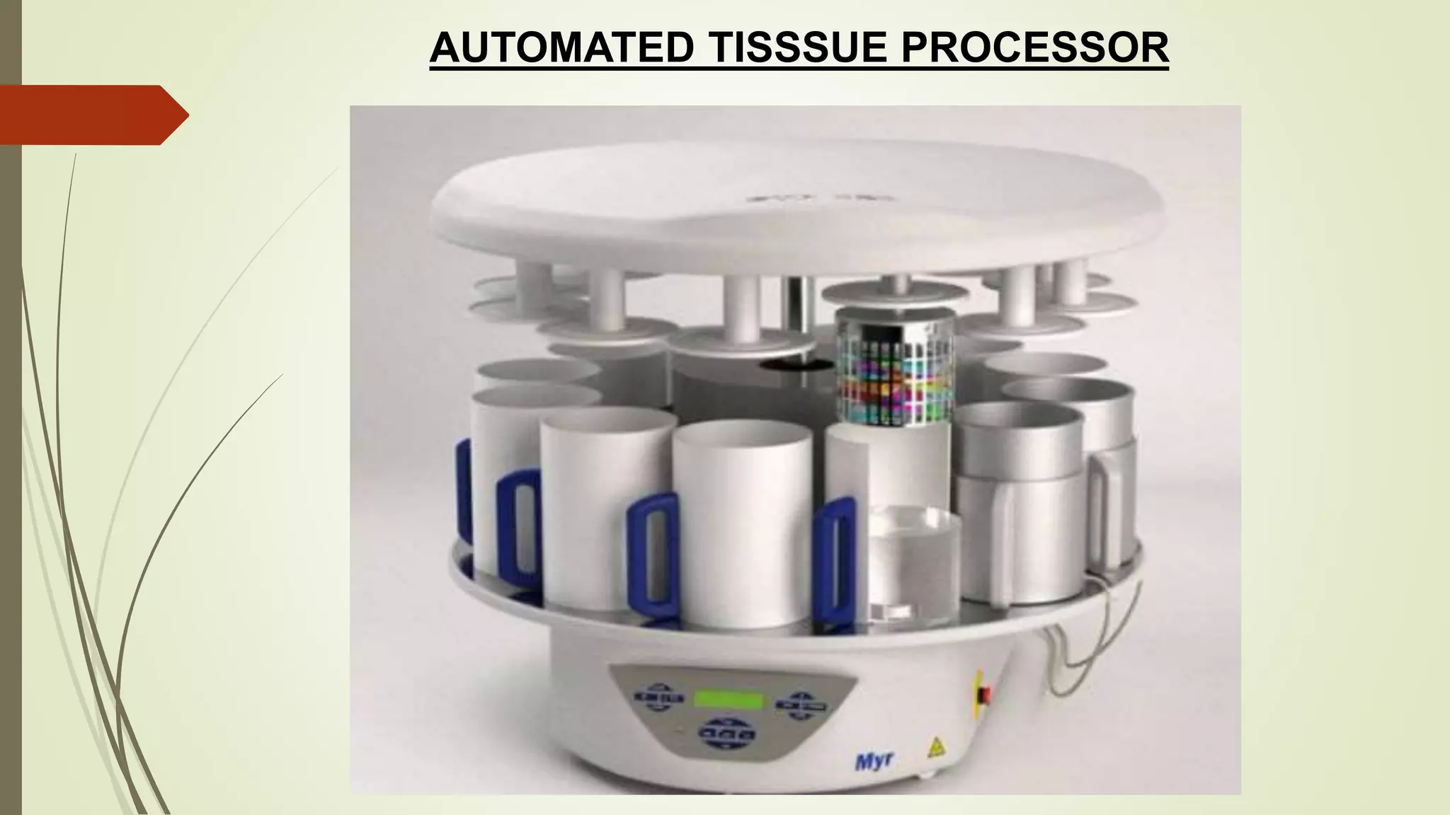 Cell morphology n tissue processing ppt | PPTX