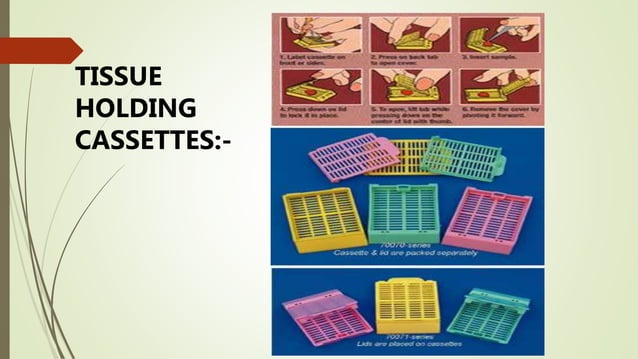 Cell morphology n tissue processing ppt | PPTX | Chemistry | Science