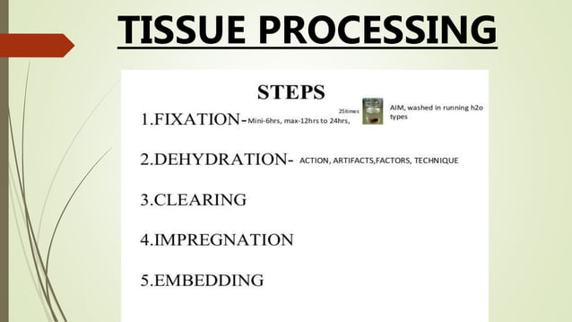 Cell morphology n tissue processing ppt | PPTX | Chemistry | Science