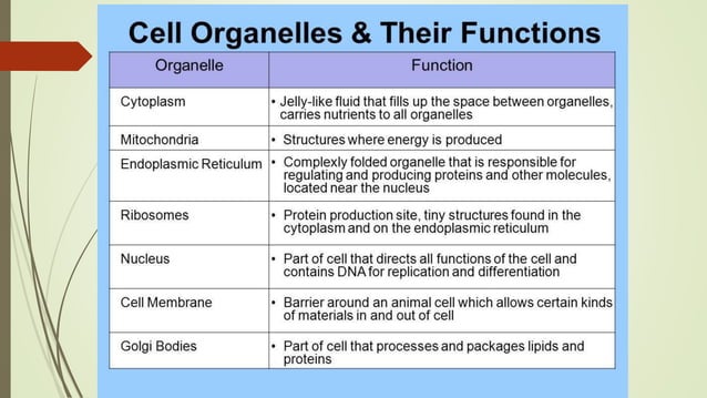 Cell morphology n tissue processing ppt | PPTX | Chemistry | Science