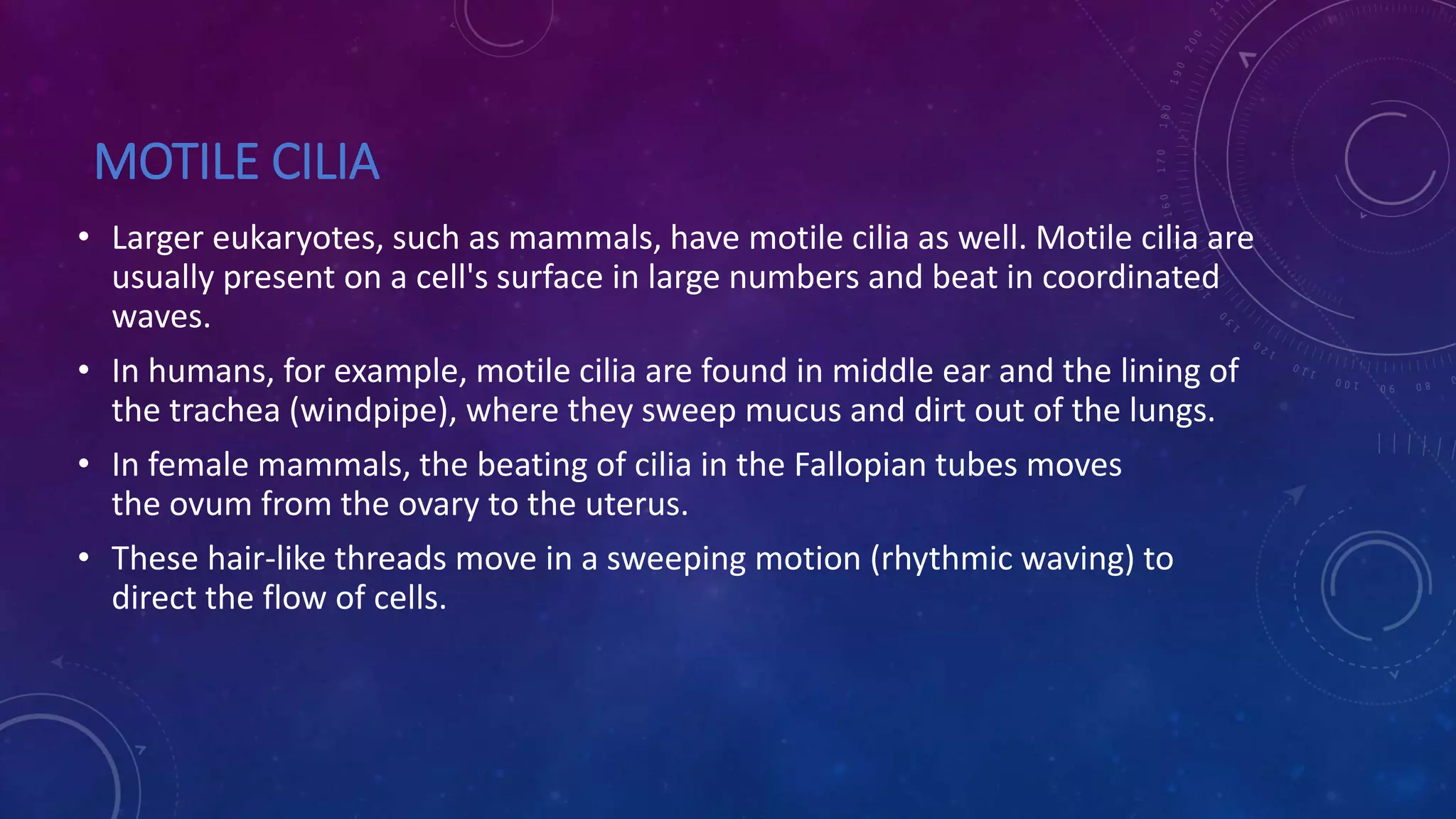 Cell motility | PPTX
