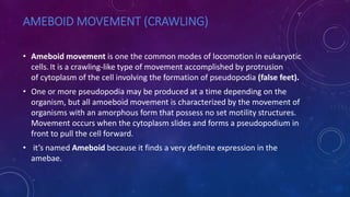 Cell motility | PPTX