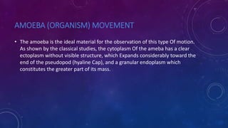 Cell motility | PPTX