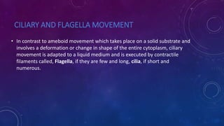 Cell motility | PPTX