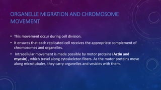 Cell motility | PPTX