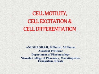 Cell motility, cell excitation and cell differentiation | PPTX | Brain ...