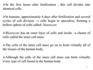 Cell motility, cell excitation and cell differentiation | PPTX