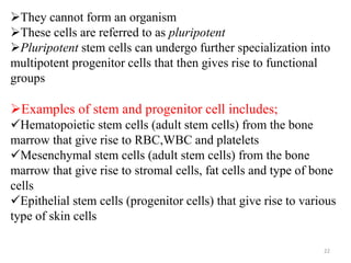 Cell motility, cell excitation and cell differentiation | PPTX