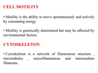 Cell motility, cell excitation and cell differentiation | PPTX | Brain ...