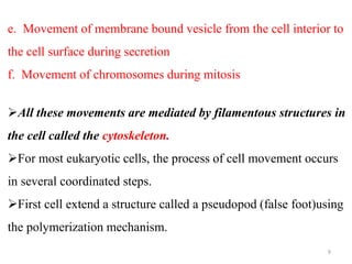 Cell motility, cell excitation and cell differentiation | PPTX