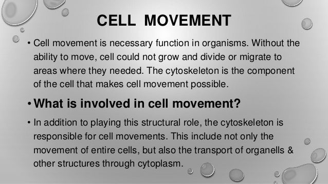 Cell movement