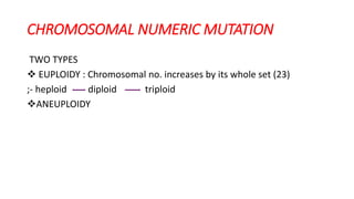 Cell mutation dipak | PPT