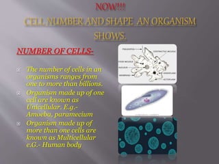 Cell n its contents. suraj(42) | PPTX | Biological Sciences | Science